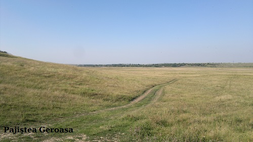 Descriere | Piatra Teleorman